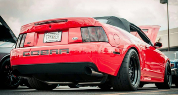 Stunning '03 Mustang Cobra Terminator Convertible | Hot Cars