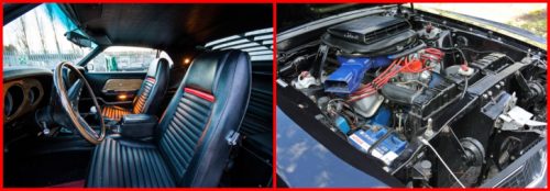 A Must See Real R-Code 1969 Mustang 428 Cobra Jet | Hot Cars