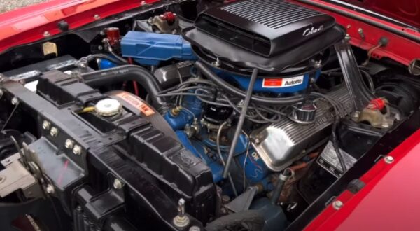 Beautiful 1969 Ford Mustang Mach 1 Factory R-Code